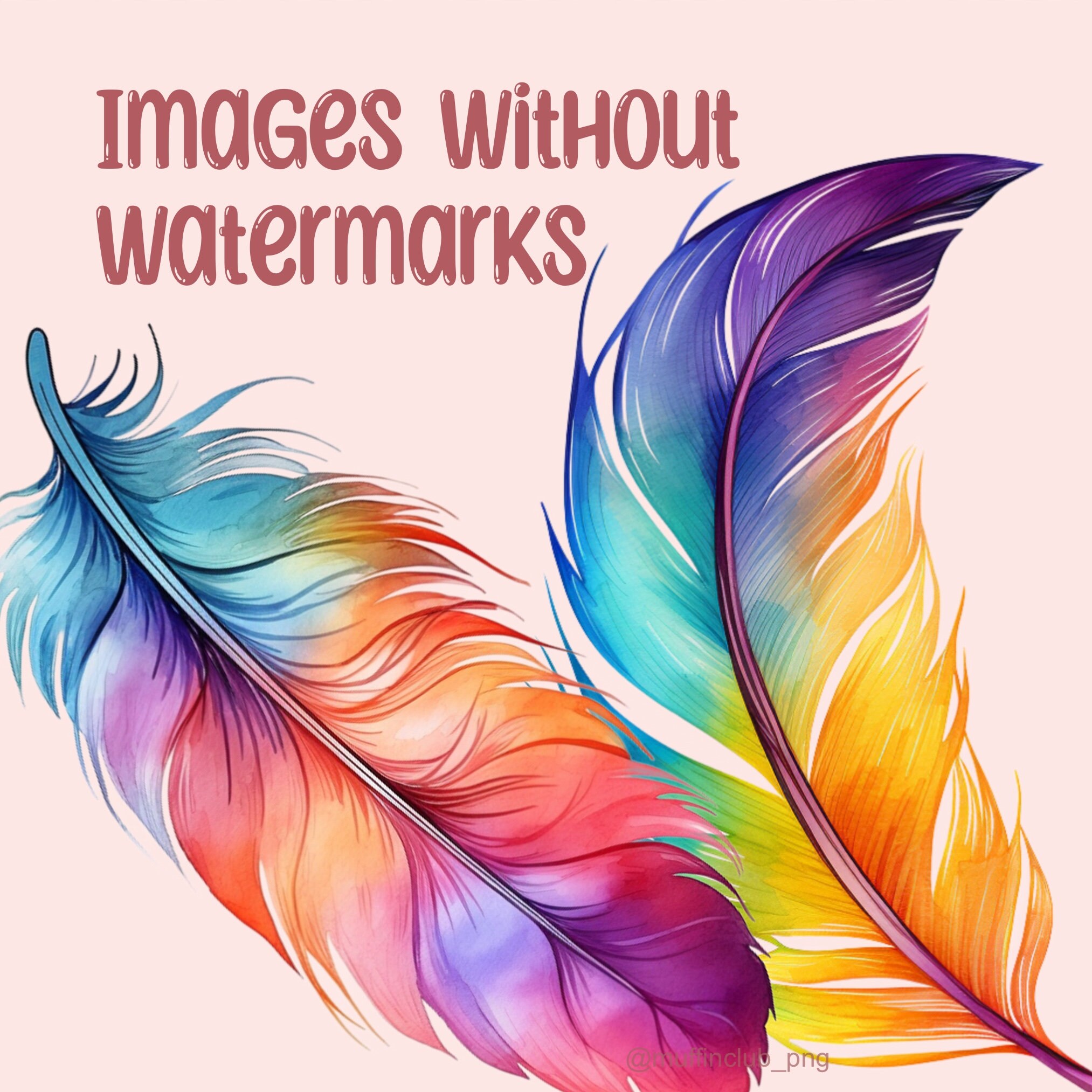 Watercolor Feather Clipart Rainbow Set Digital Scrapbooking Commercial ...