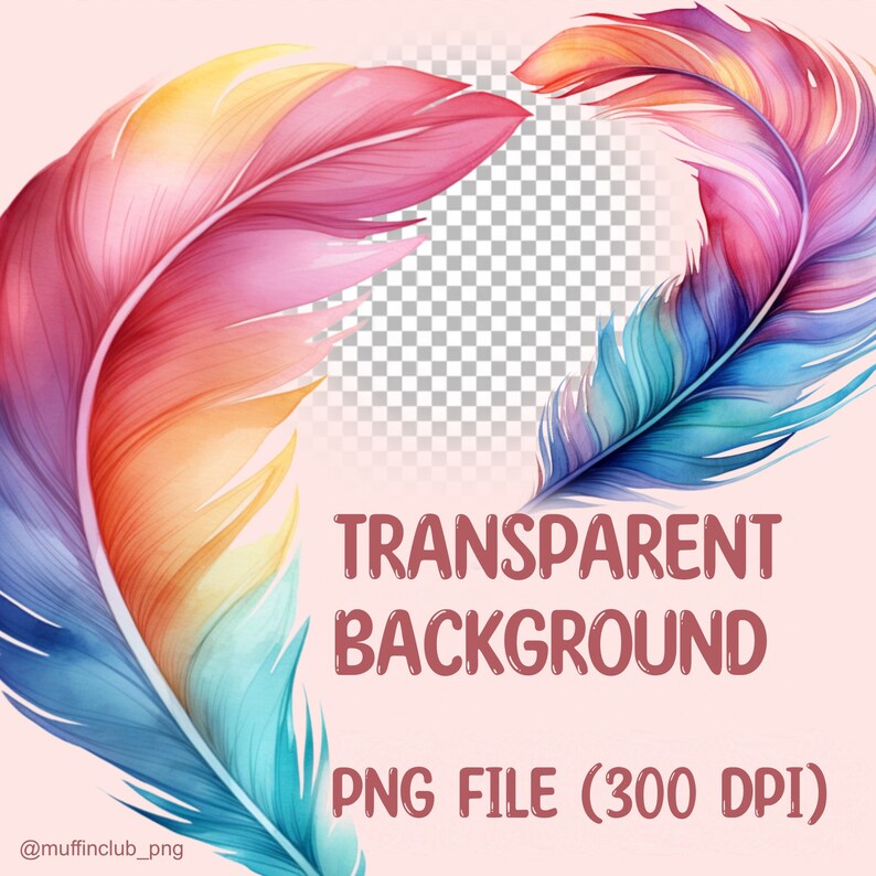 Watercolor Feather Clipart Rainbow Set Digital Scrapbooking Commercial ...