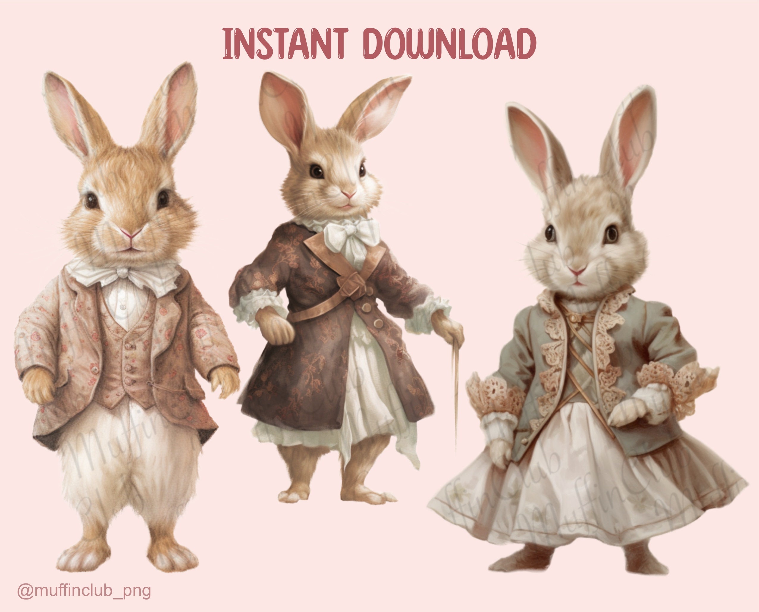 Watercolour Rabbits in Clothes Clipart, Animal Digital Prints, PNG ...