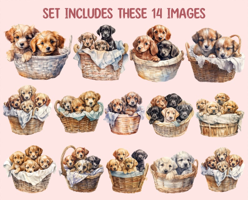 Watercolour Baby Dogs in Basket Puppies Clipart - Dog PNG Digital Image ...