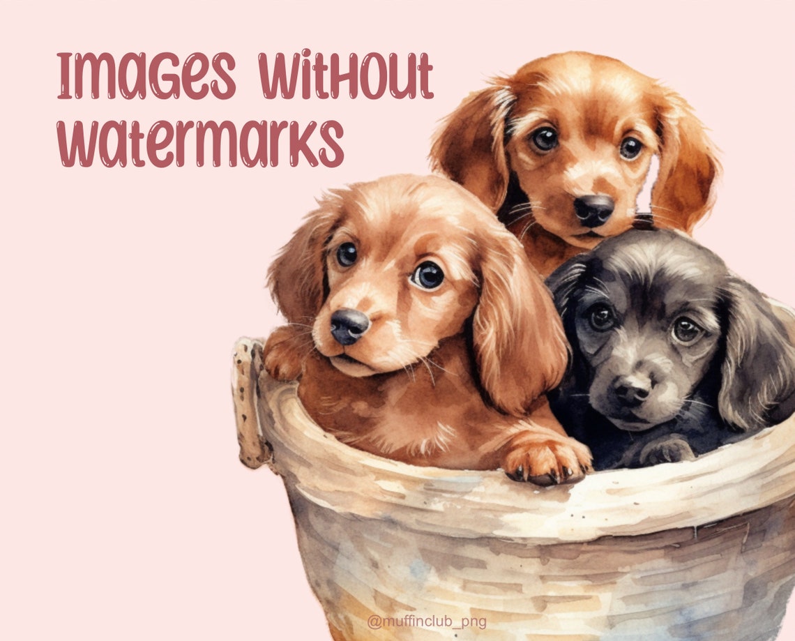 Watercolour Baby Dogs in Basket Puppies Clipart Dog PNG - Etsy