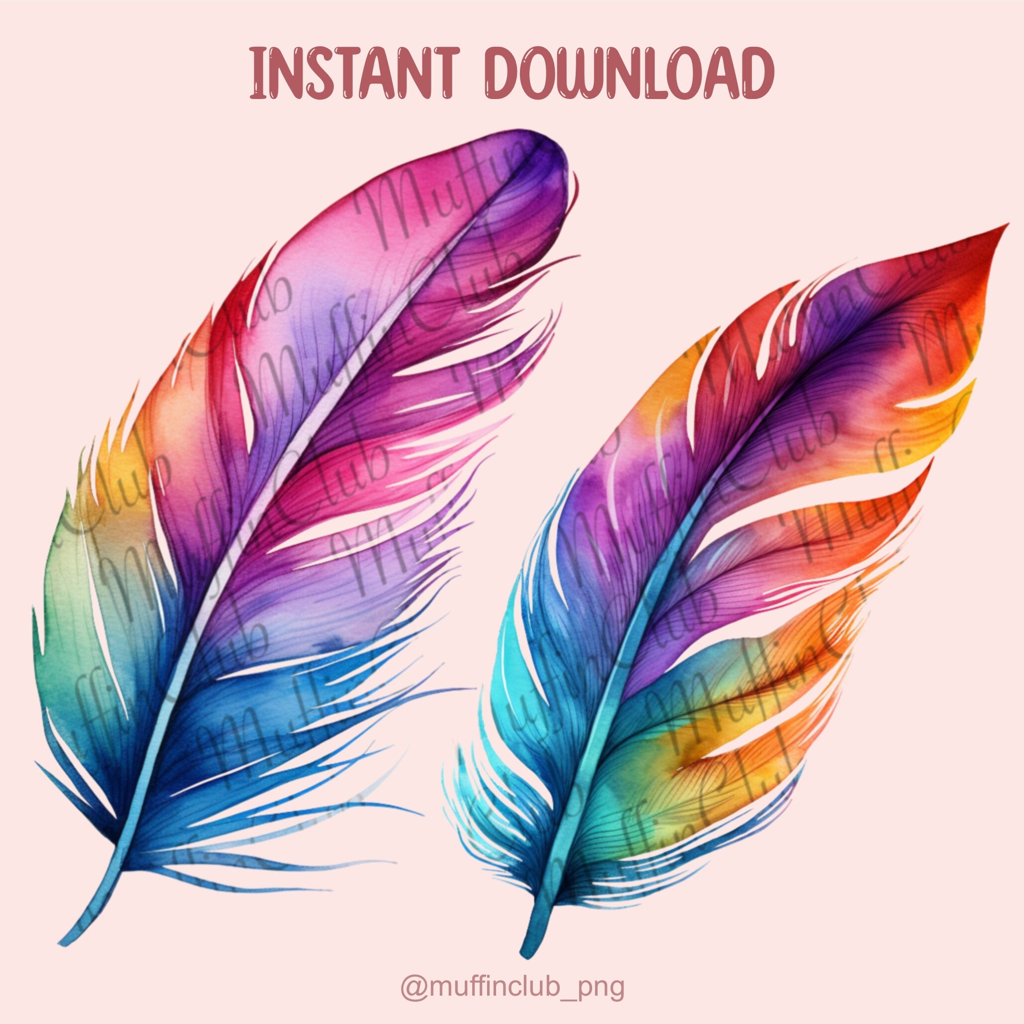 Watercolor Feather Clipart Rainbow Set Digital Scrapbooking Commercial ...