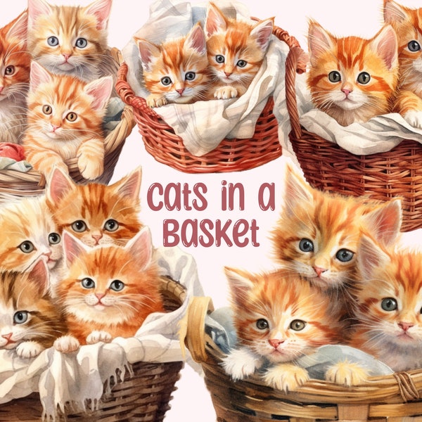 Kittens in Basket - Etsy