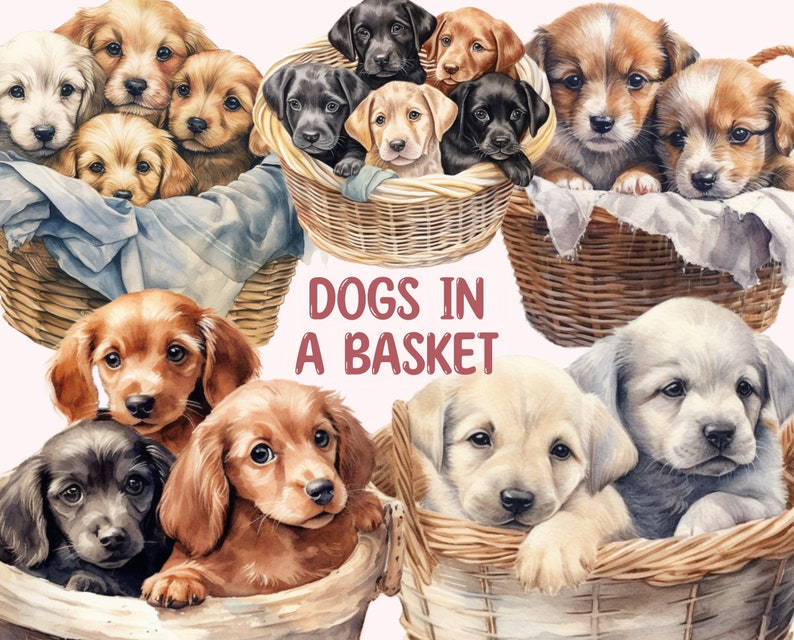 Watercolour Baby Dogs in Basket Puppies Clipart - Dog PNG Digital Image ...