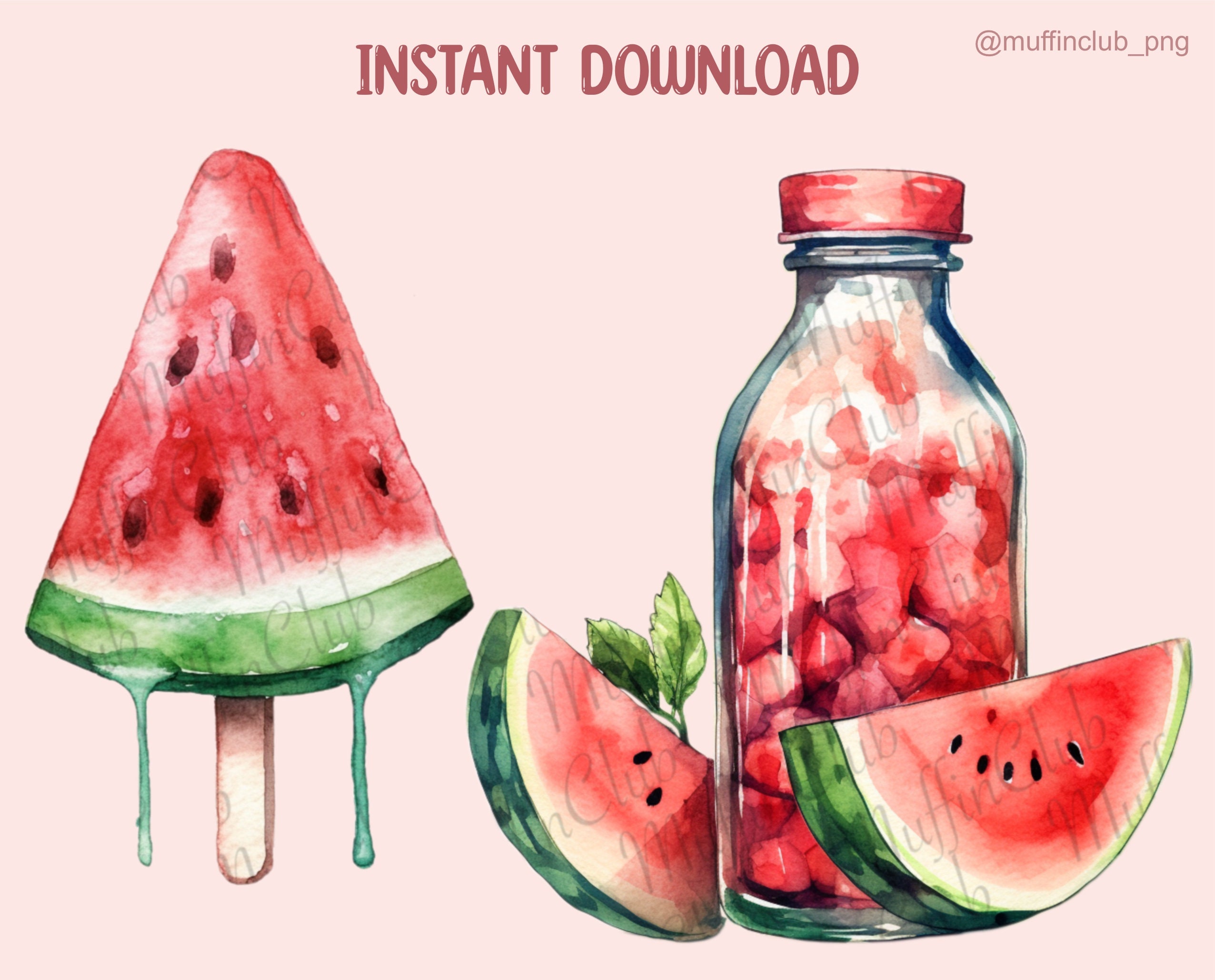 Watermelon Watercolour Clipart Summer Fruit PNG Digital Image Downloads ...