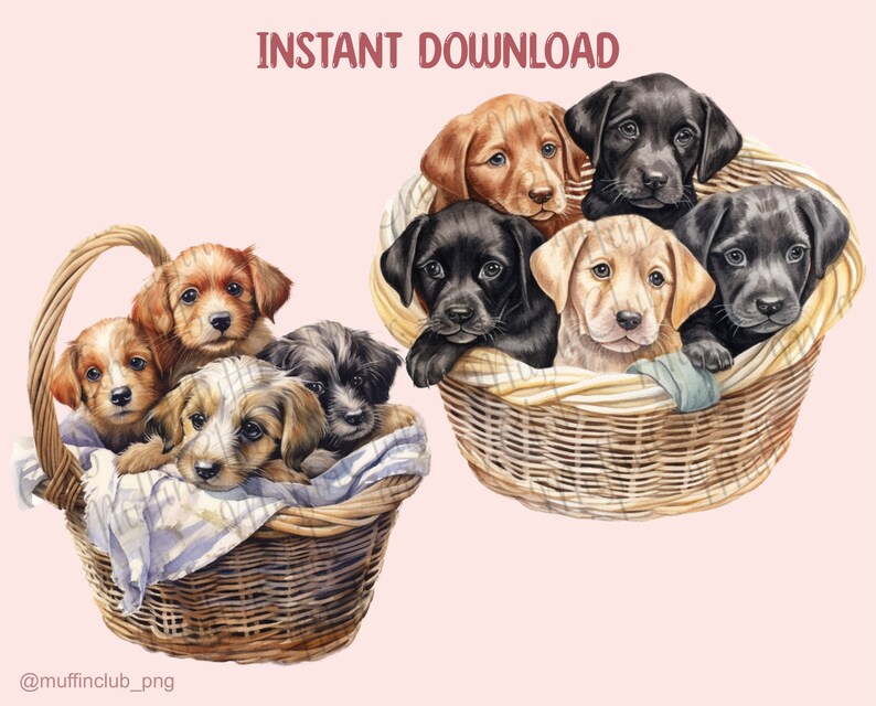 Watercolour Baby Dogs in Basket Puppies Clipart - Dog PNG Digital Image ...