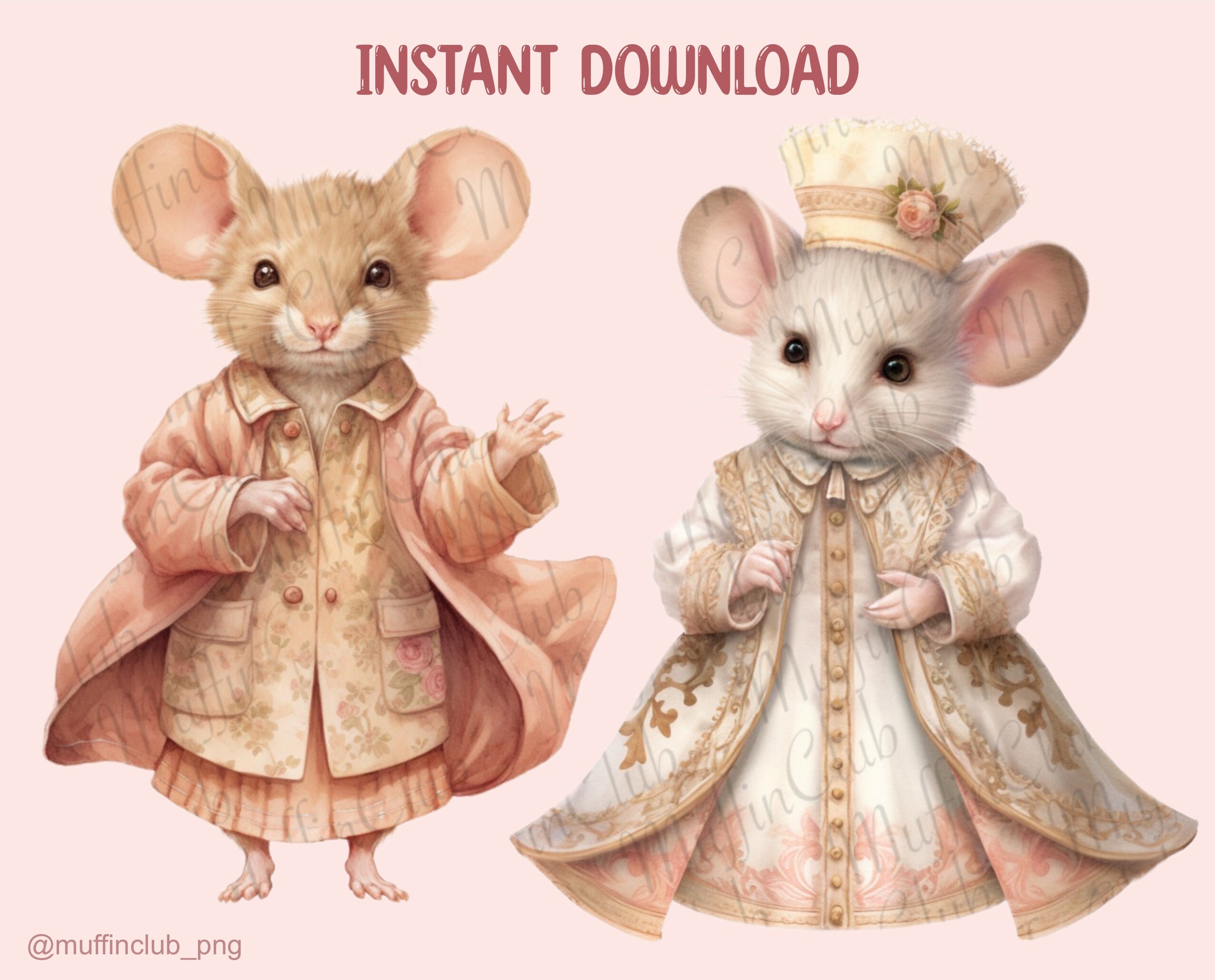 Watercolour Pink Mouse Clipart Fairytale Mouses PNG Digital - Etsy