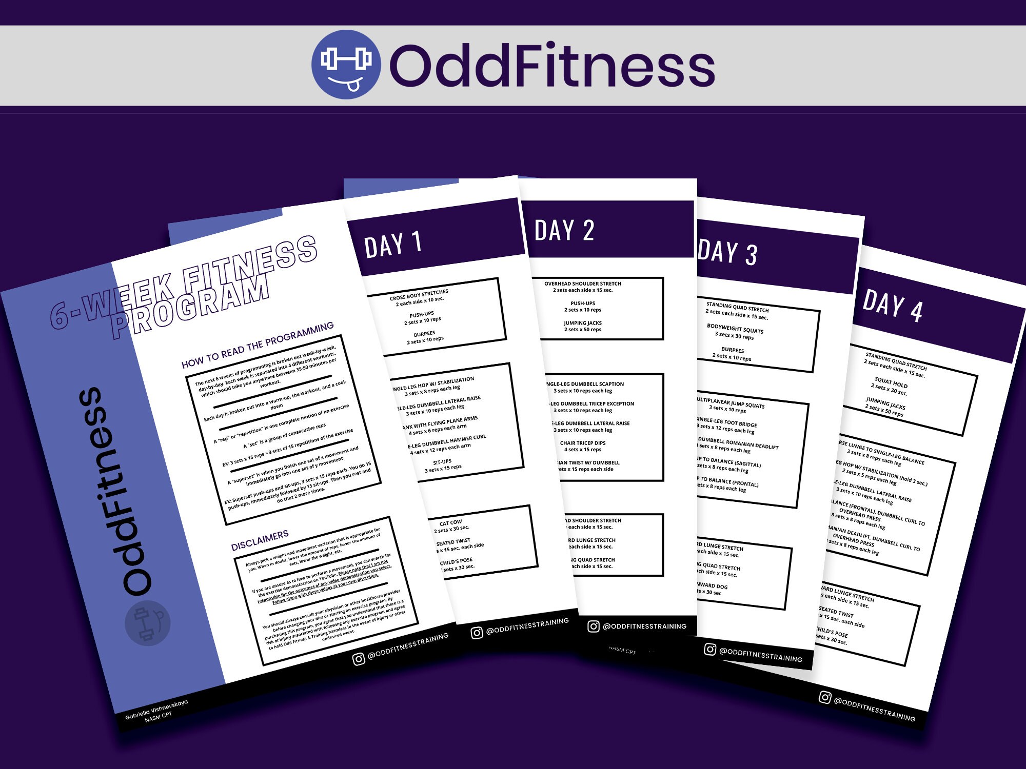 6 Week Workout Program for Real People - Etsy