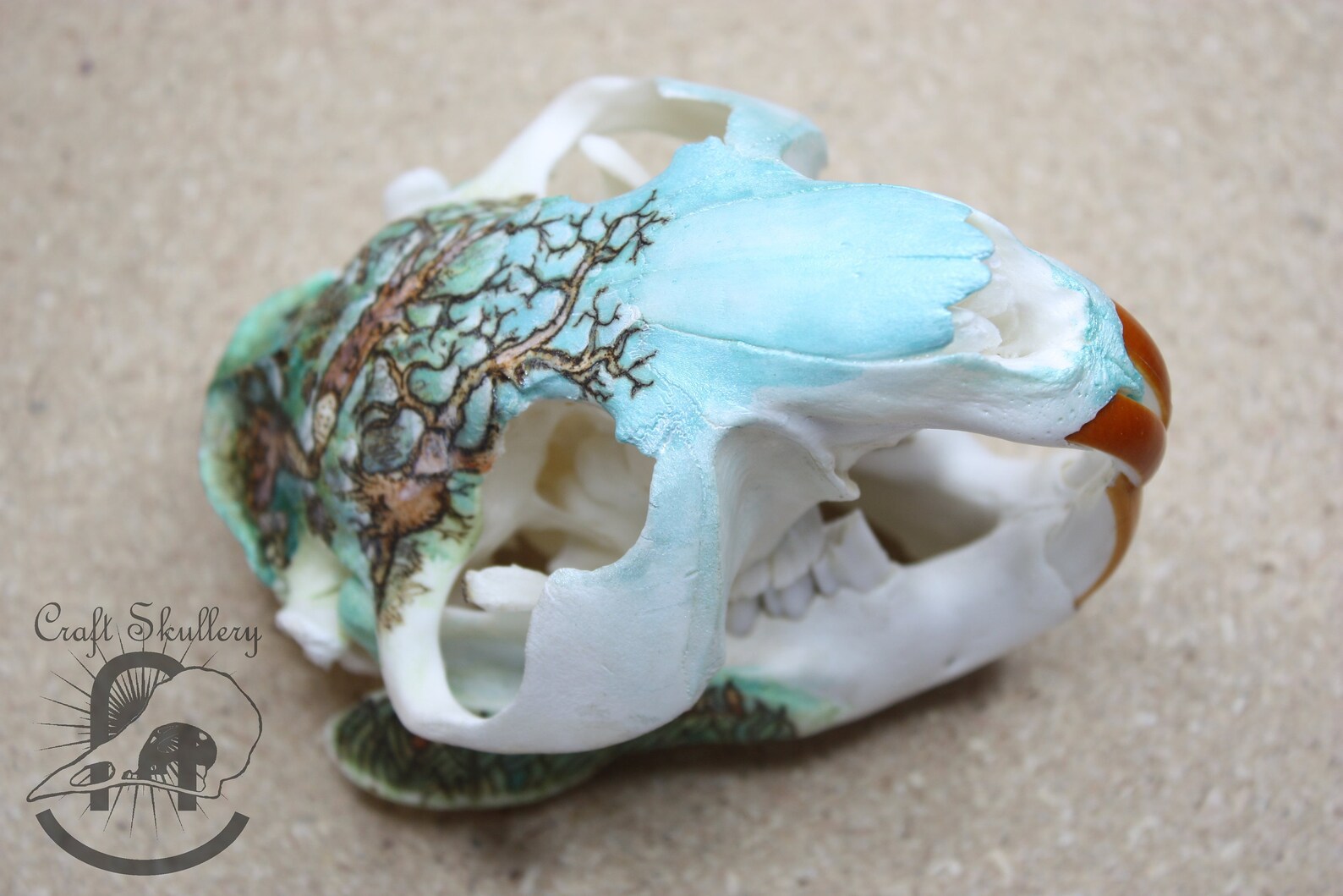 Beaver Skull - Pyrography & Painted Art - Real Skull - One of a Kind ...
