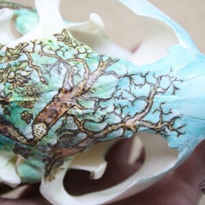 Beaver Skull - Pyrography & Painted Art - Real Skull - One of a Kind ...