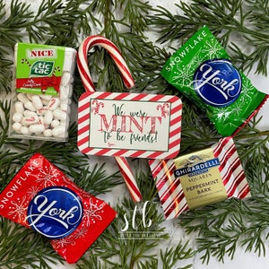 We Were MINT to Be Friends Gift Tag Printable PDF - Candy Gram ...
