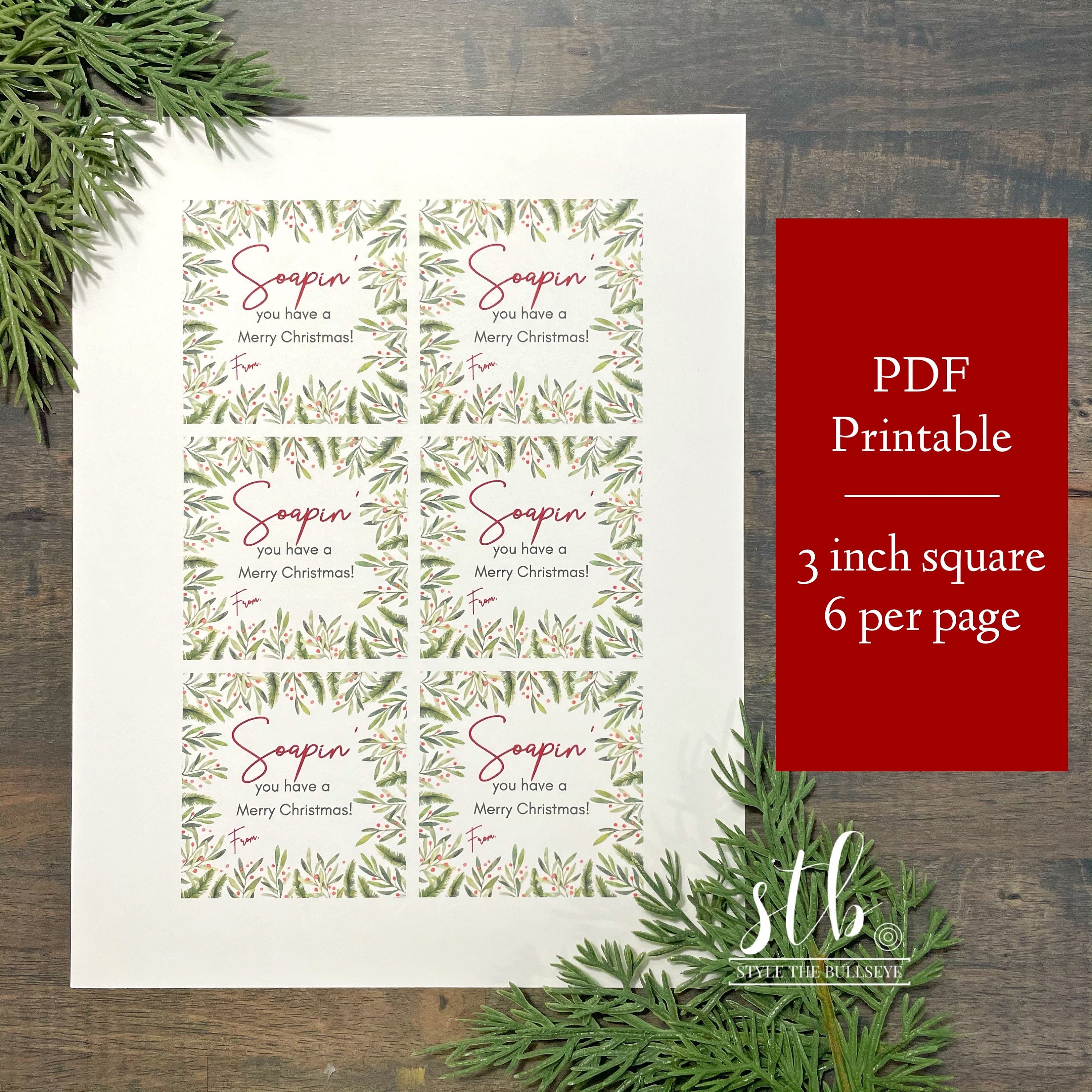 Soapin' You Have a Merry Christmas Gift Tag PDF Printable - Etsy