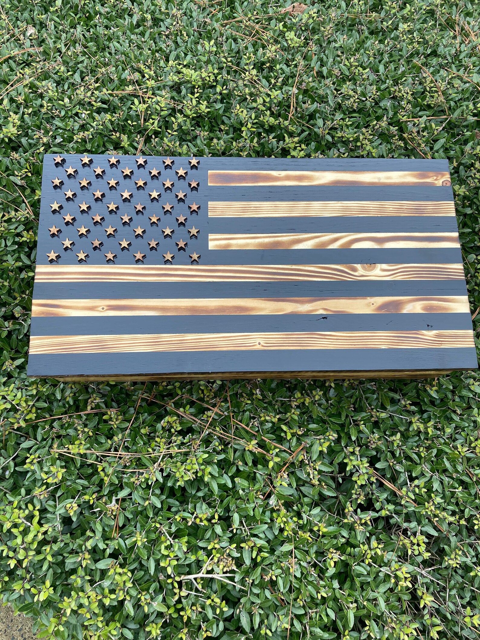 American Flag Concealed Sliding Wall Hanger in Black and Wood Burnt ...