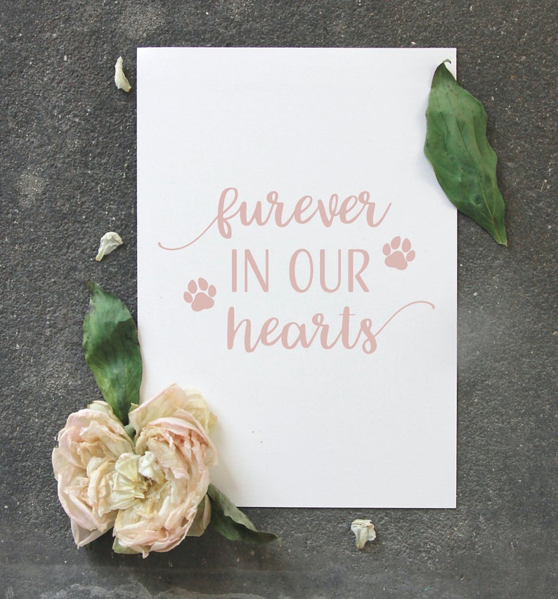 Furever in Our Hearts SVG PNG DXF Pet Loss Digital Download - Etsy