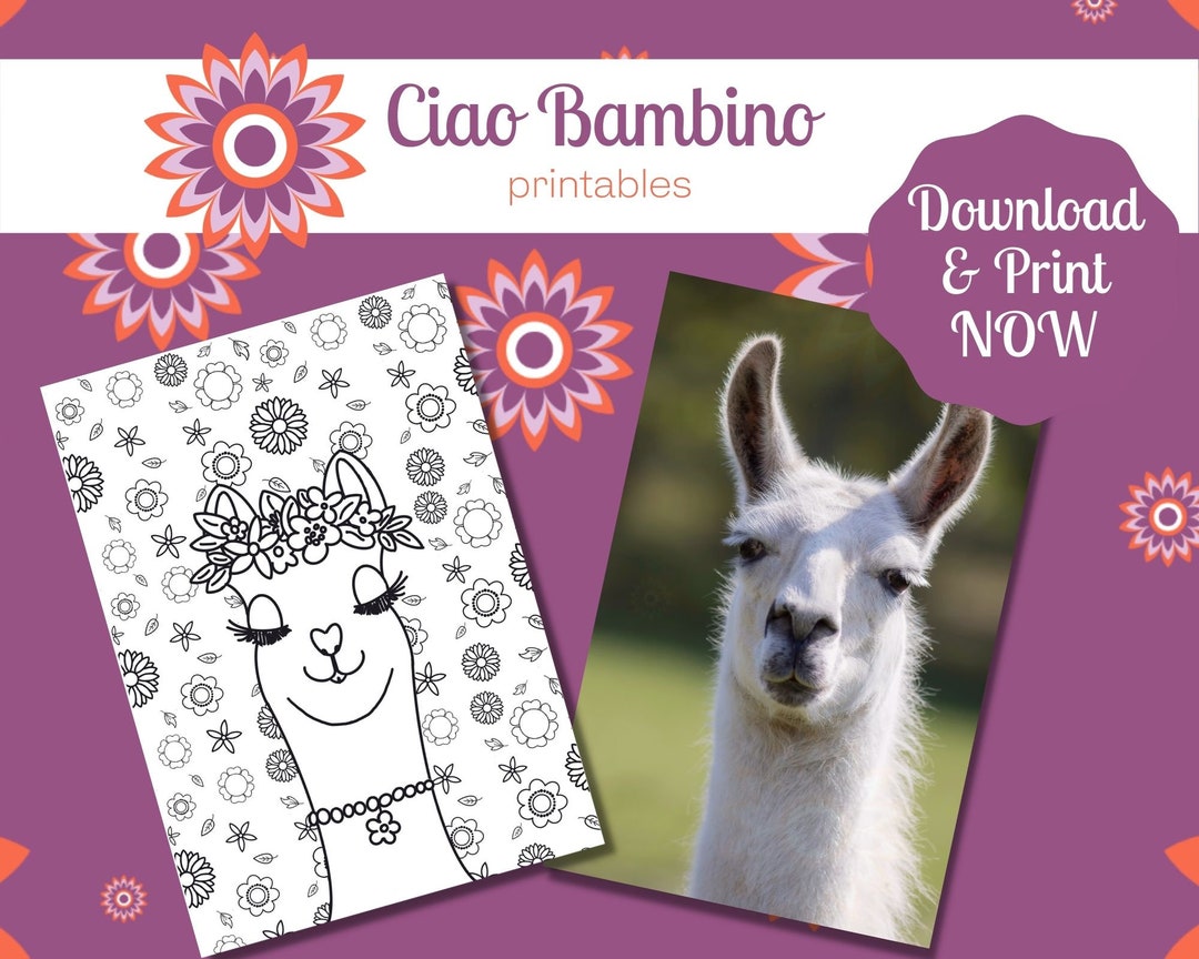 Llama Colouring Page, Alpaca Coloring In, Instant Download, Printable ...