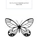 Butterflis for Kids and Adults: 50 Facts About Butterflies Coloring Fun ...