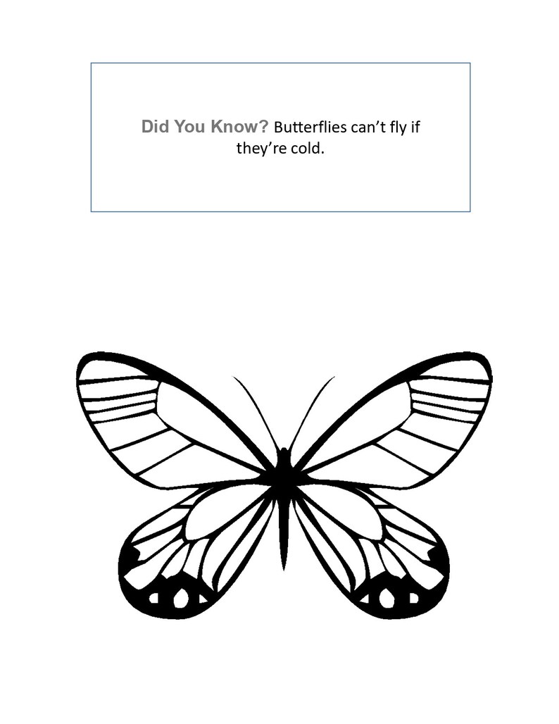 Butterflis for Kids and Adults: 50 Facts About Butterflies Coloring Fun ...
