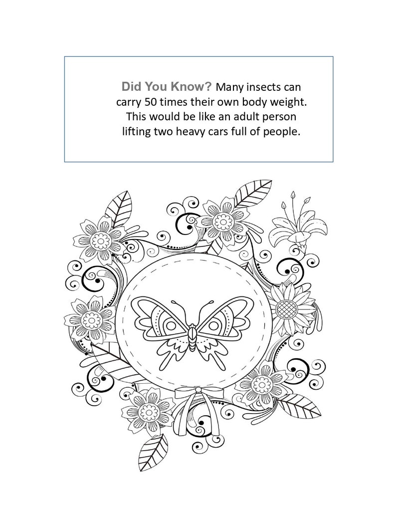 Butterflis for Kids and Adults: 50 Facts About Butterflies Coloring Fun ...
