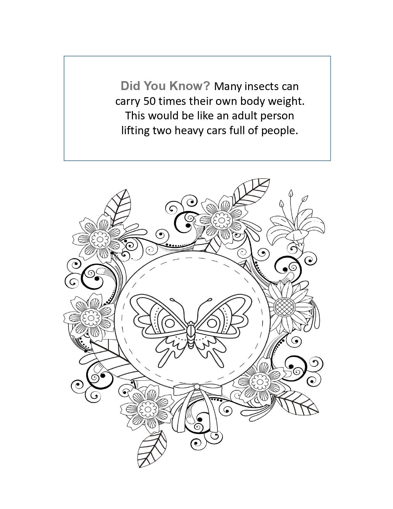 Butterflis for Kids and Adults: 50 Facts About Butterflies Coloring Fun ...