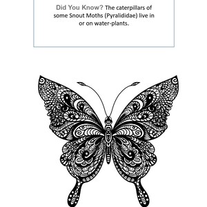 Butterflis for Kids and Adults: 50 Facts About Butterflies Coloring Fun ...