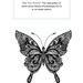 Butterflis for Kids and Adults: 50 Facts About Butterflies Coloring Fun ...