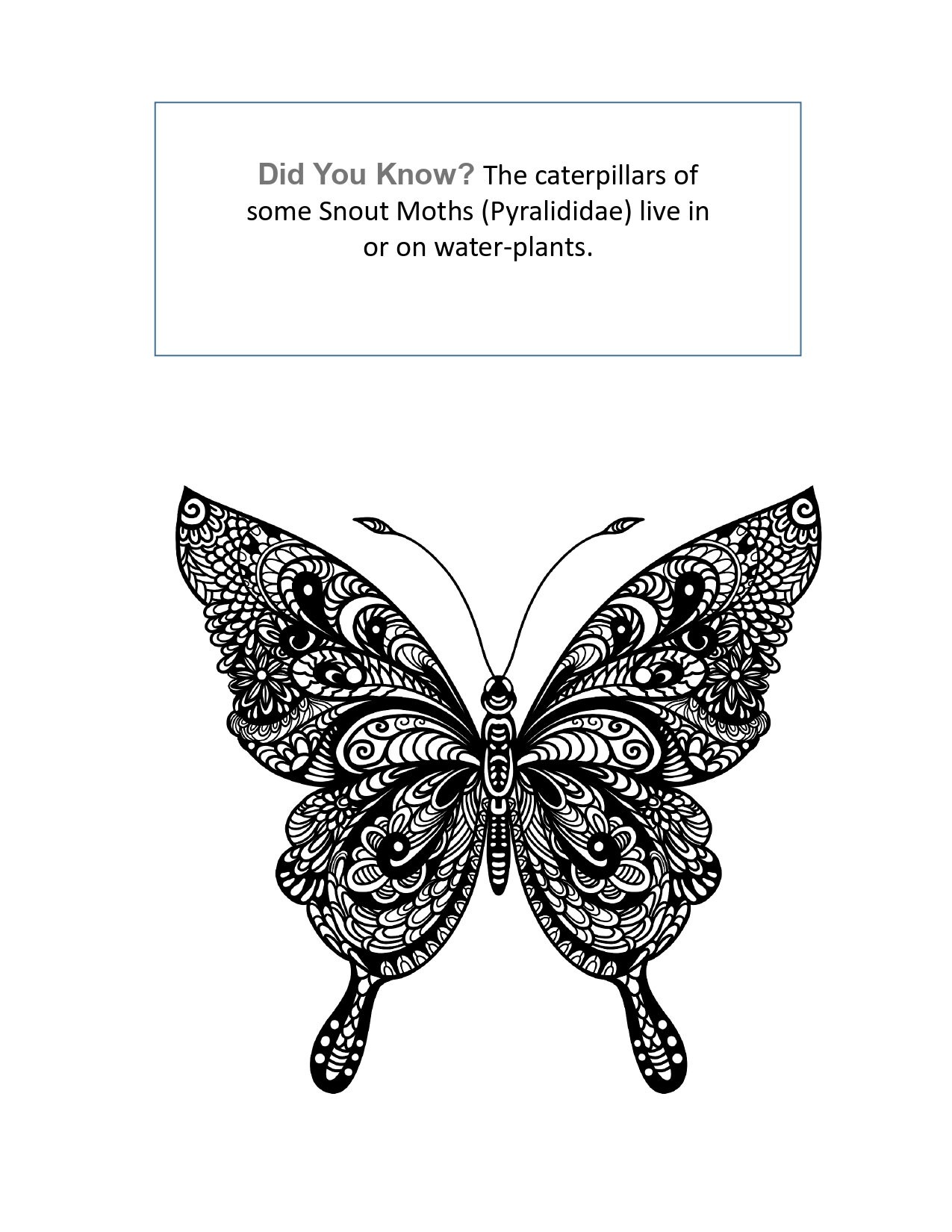 Butterflis for Kids and Adults: 50 Facts About Butterflies Coloring Fun ...