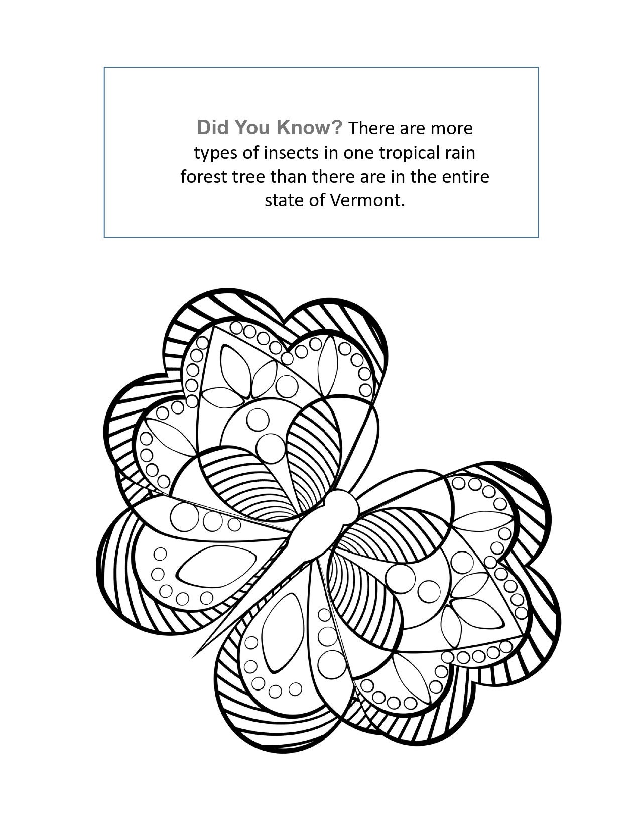 Butterflis for Kids and Adults: 50 Facts About Butterflies Coloring Fun ...