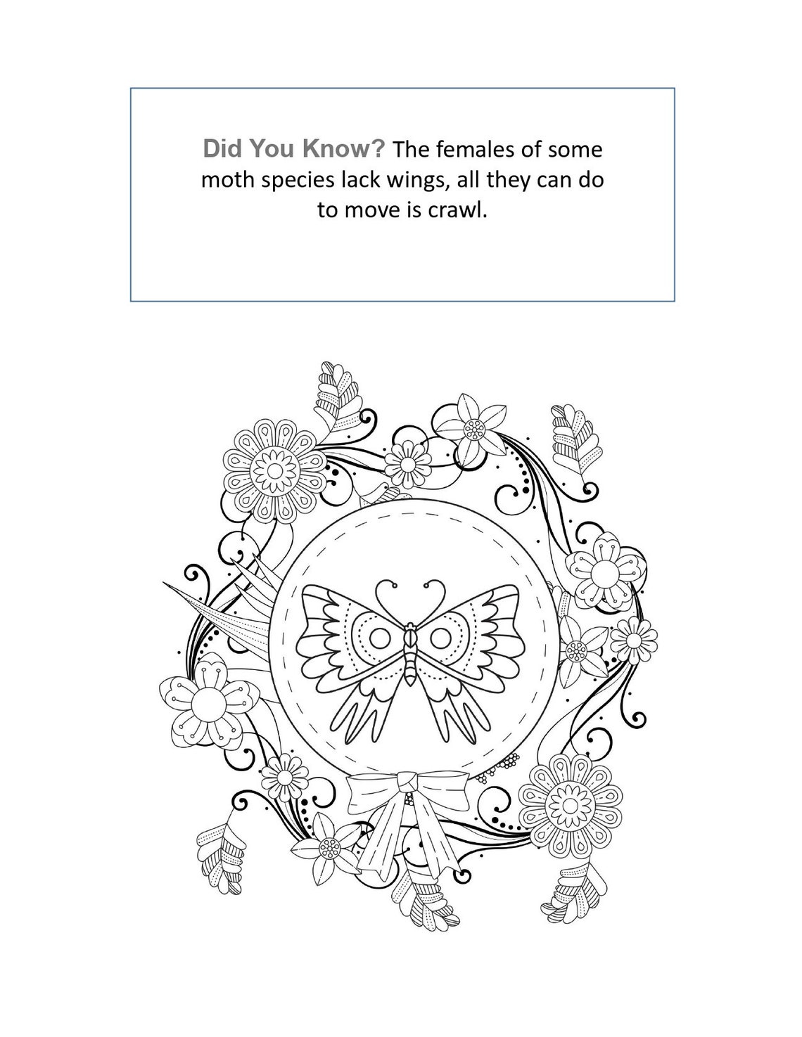 Butterflis for Kids and Adults: 50 Facts About Butterflies Coloring Fun ...