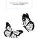 Butterflis for Kids and Adults: 50 Facts About Butterflies Coloring Fun ...