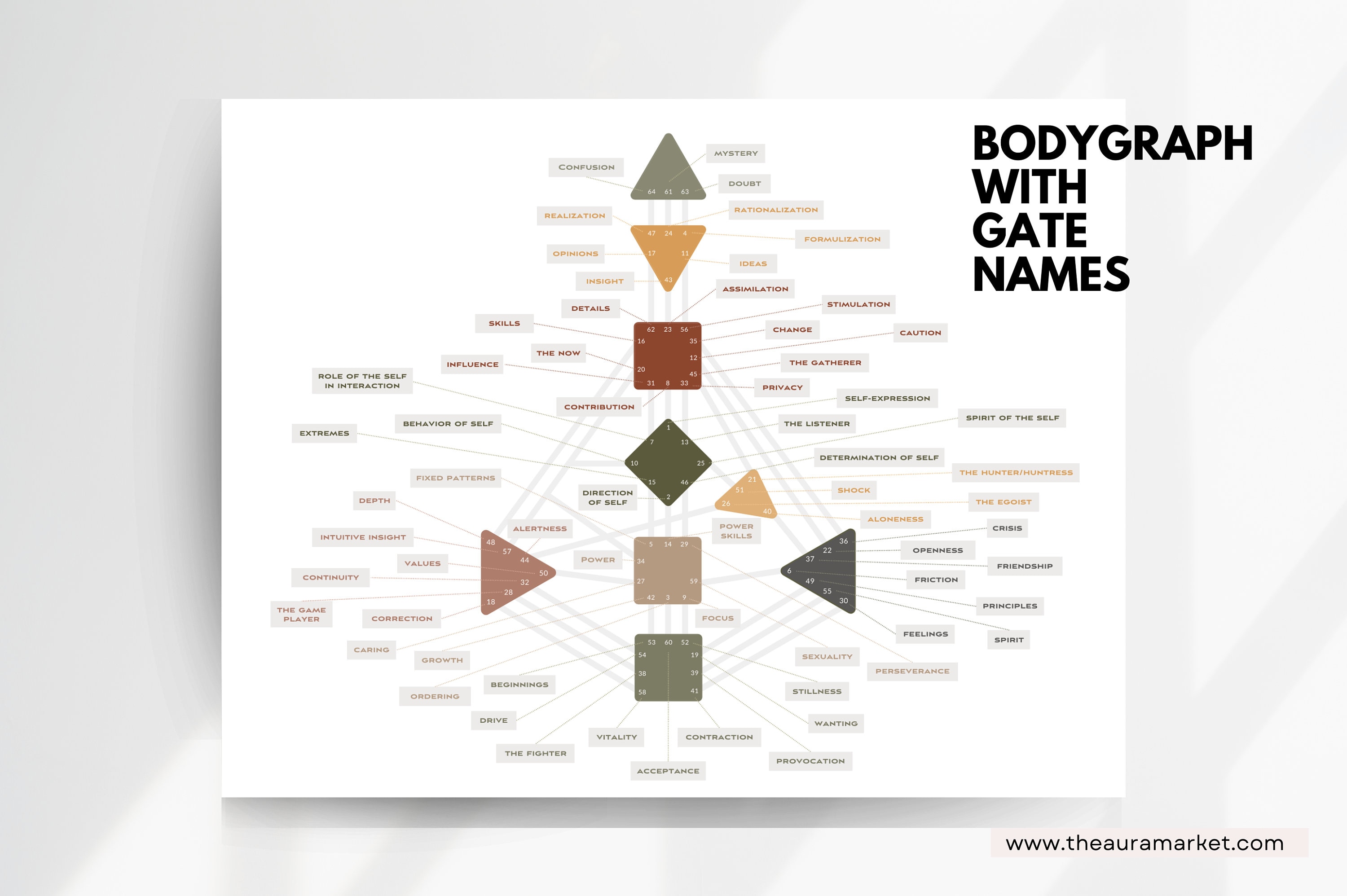 Digital Human Design Bodygraph With Gate/channel Names Bundle for Human ...