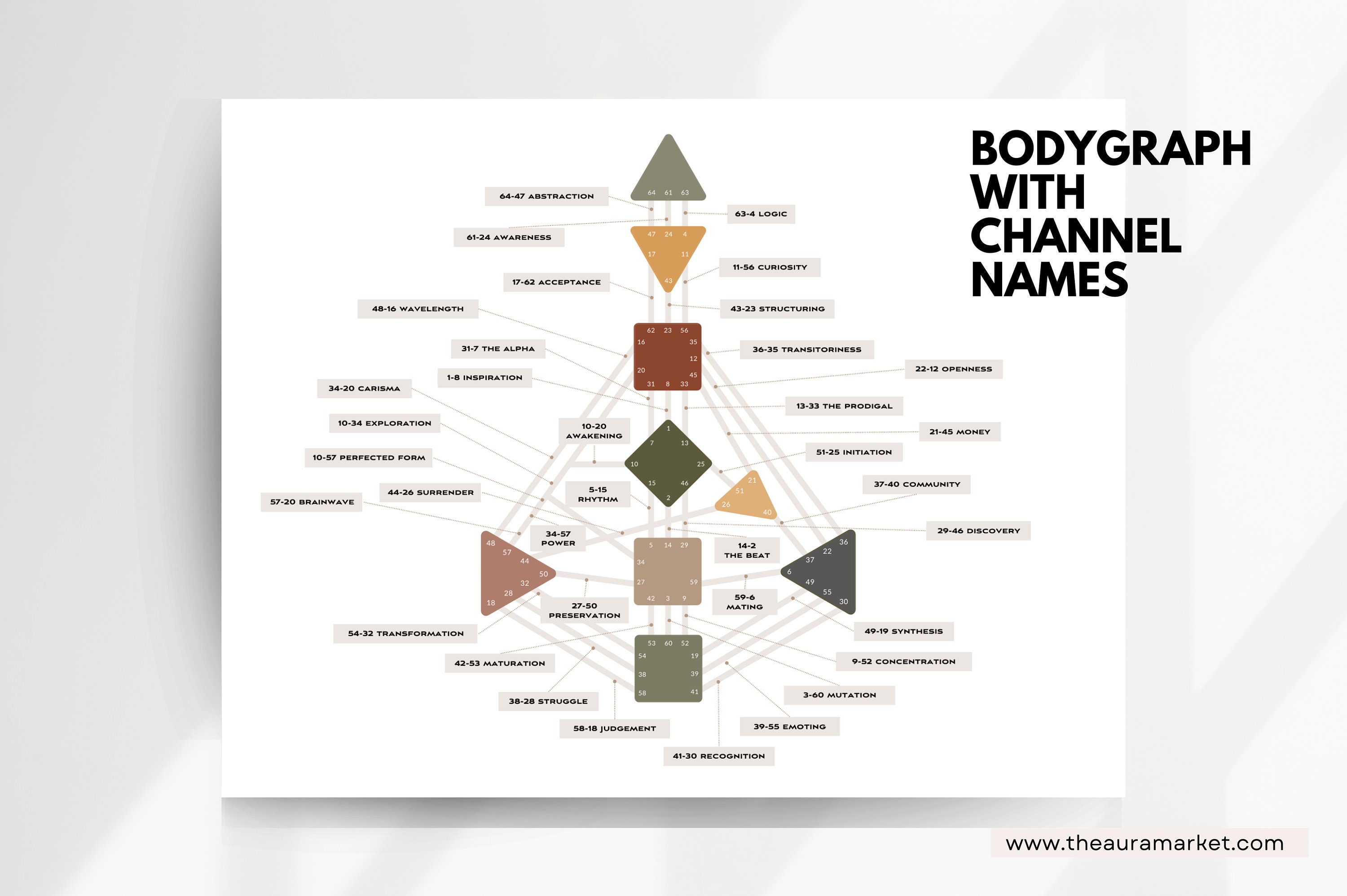 Digital Human Design Bodygraph With Gate/channel Names Bundle for Human ...