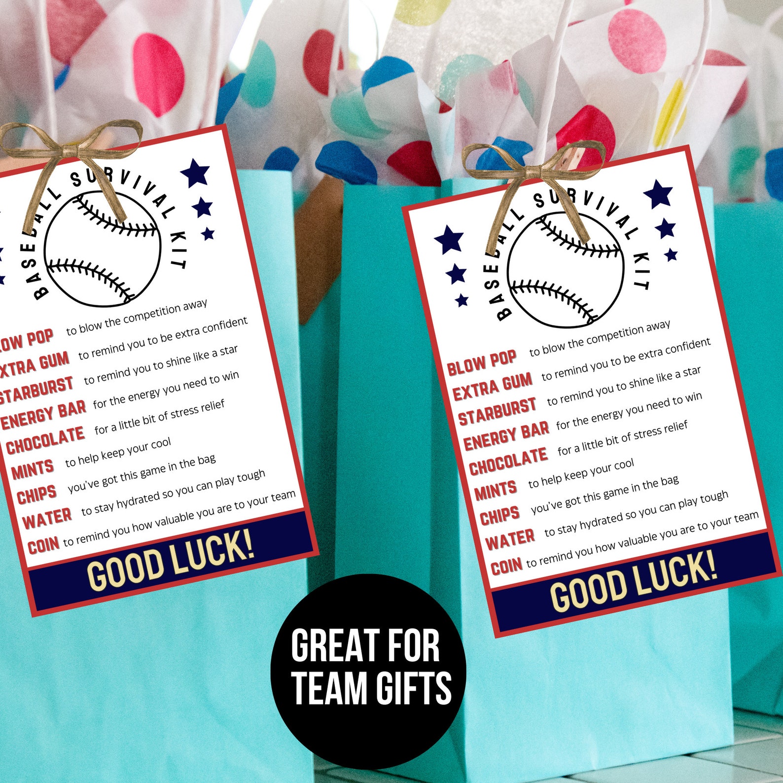 Baseball Survival Kit Bag Tag Printable Good Luck Tags Baseball Team ...