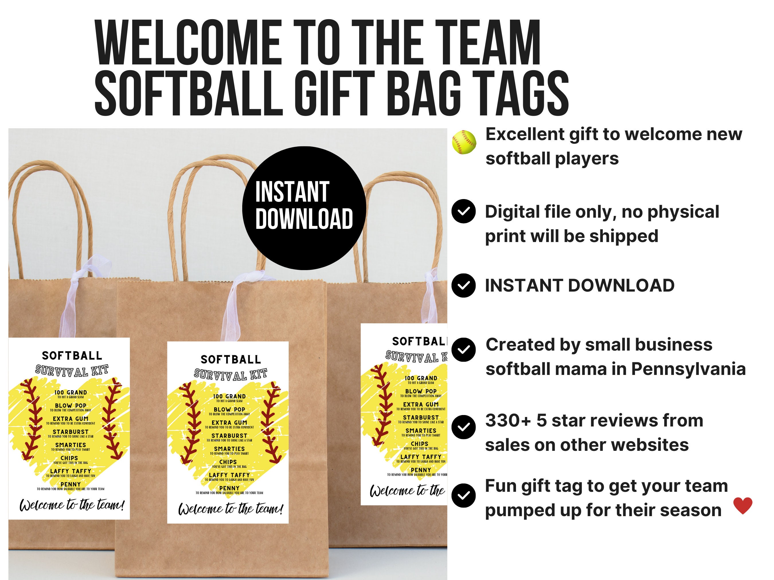Instant Download Softball Team Gift Tag Printable Welcome to Team ...