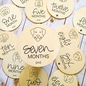 Puppy Dog Faces - Digital Files SVG, PDF, PNG - Etsy