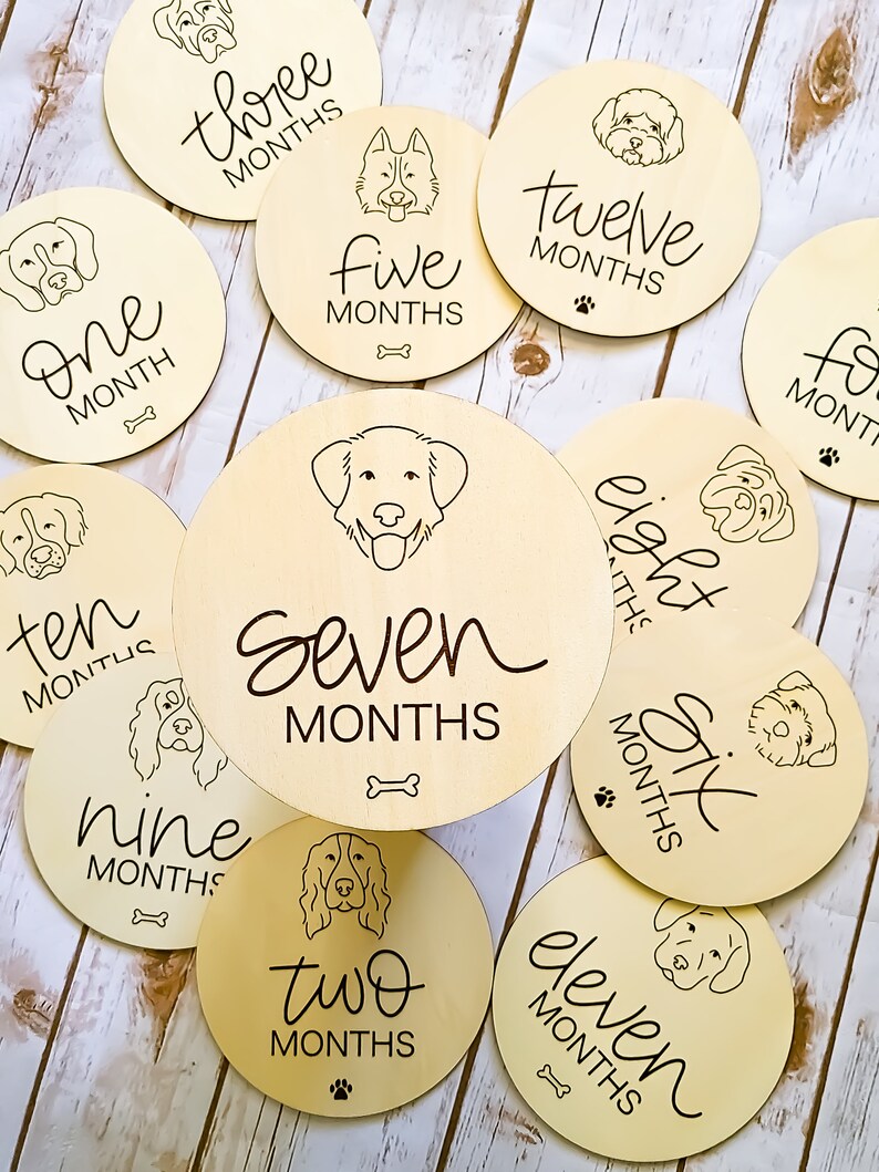 Puppy Dog Faces - Digital Files SVG, PDF, PNG - Etsy