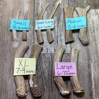 Medium Deer Antler Dog Bone - Made in USA - Natural Dog Chew - Etsy