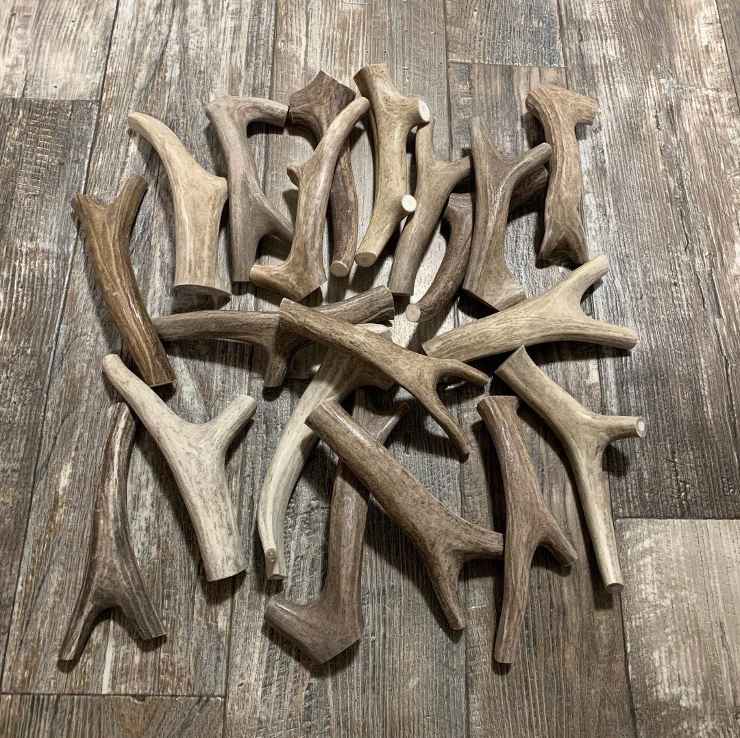 ONE POUND Premium Deer Antler Dog Chews, Save Big! ~ Free Shipping! - Etsy