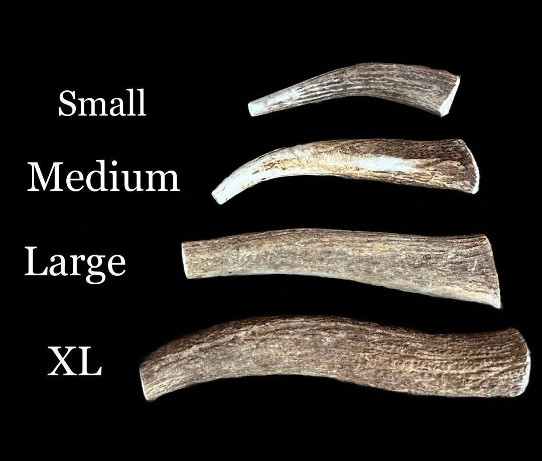 Elk Antler Chews, All Natural Premium Elk Antlers Dog Chews From ...
