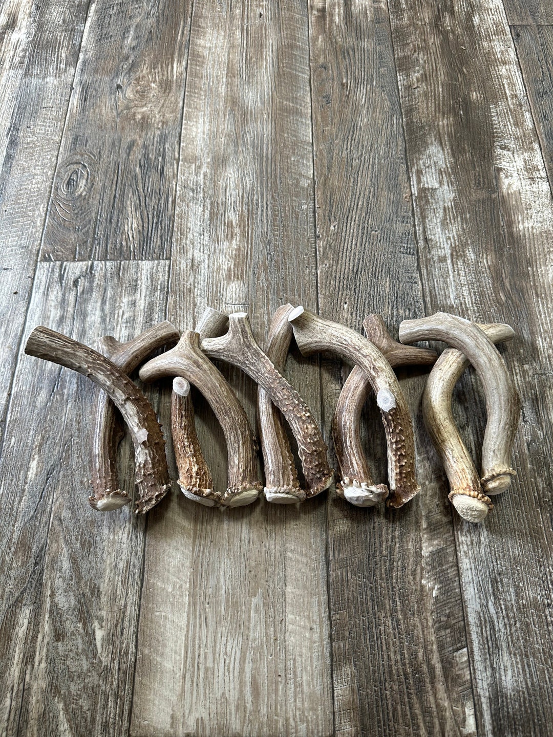 10 Pack Large Deer Antler Dog Chews, Premium Antlers From Montana Free ...