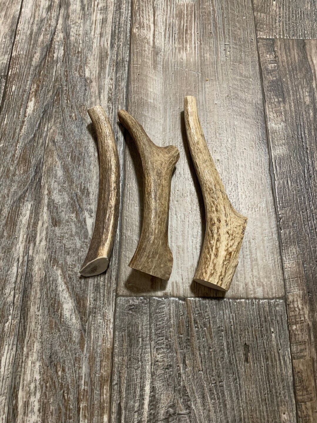 3 Pack Deer Antler Dog Chews, Premium Small/medium Sized Antlers From ...