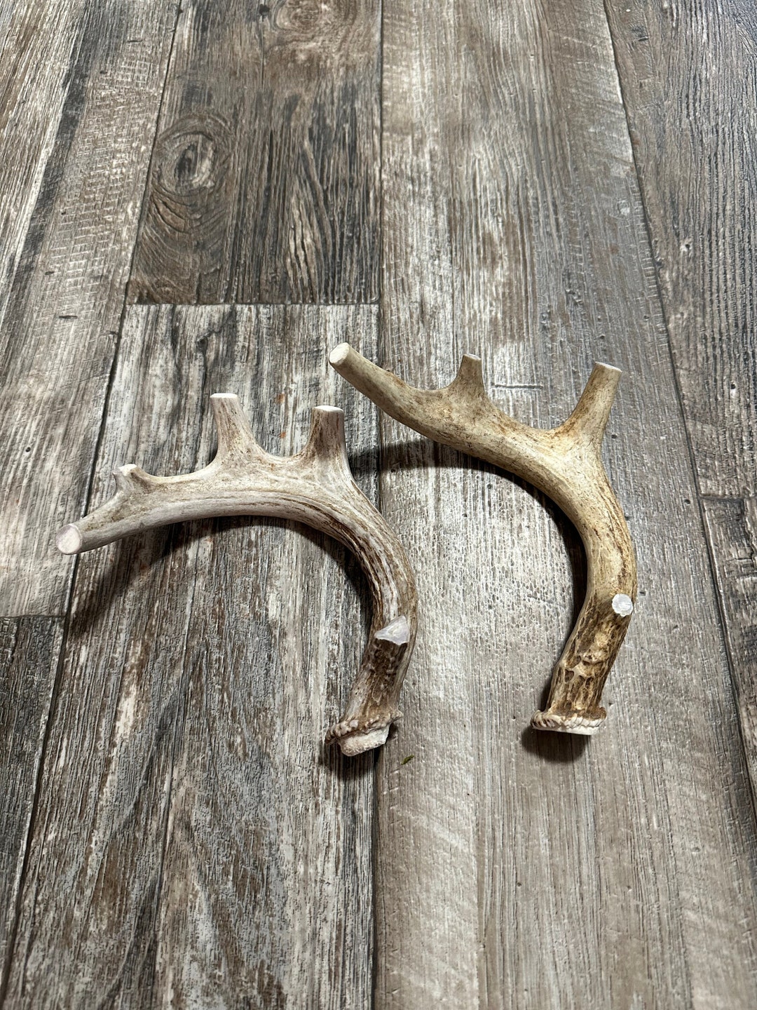 2 Pack Large Deer Antler Dog Chew, All Natural Antler Chews From ...