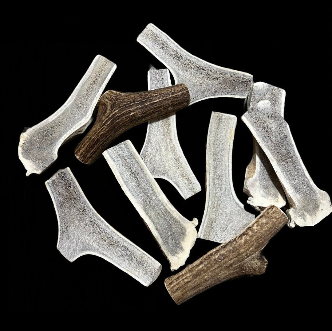 By the Pound, Split Elk Antler Dog Chews. Premium Elk Antlers for Dogs ...