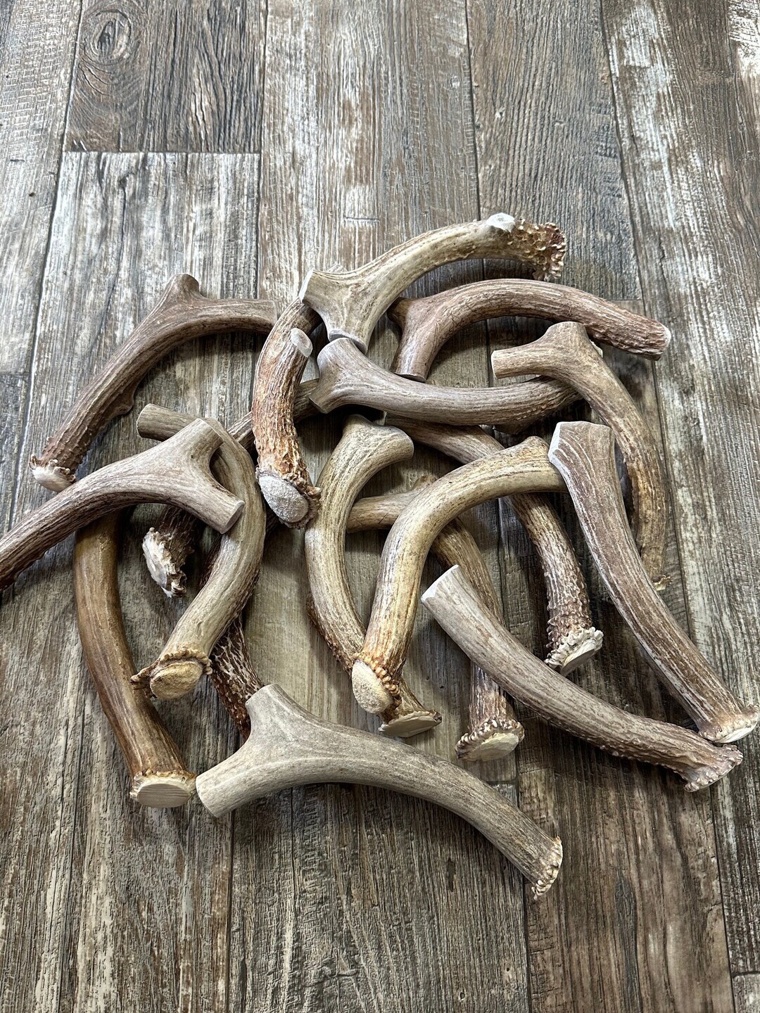 By the Pound, Large Deer Antler Dog Chews, Premium Antlers From Montana ...