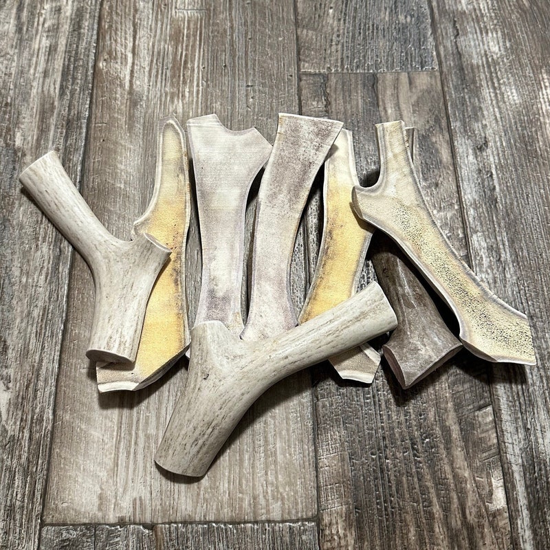 Large Skull Antlers - Etsy