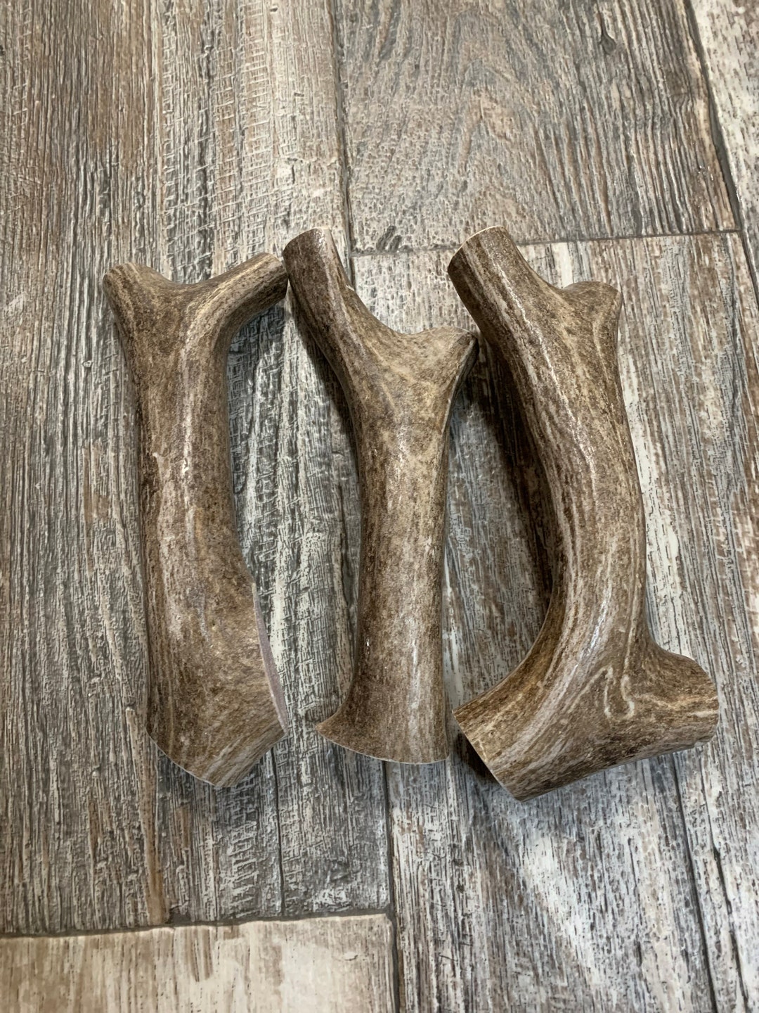 3 Pack Antler Dog Chews ~ Free Shipping - Etsy