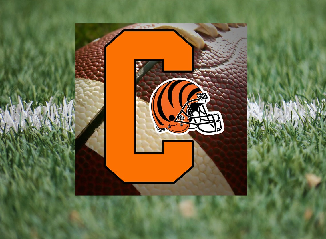 A Collection of Cincinnati Sports Teams Cincinnati Bengals, Cincinnati ...