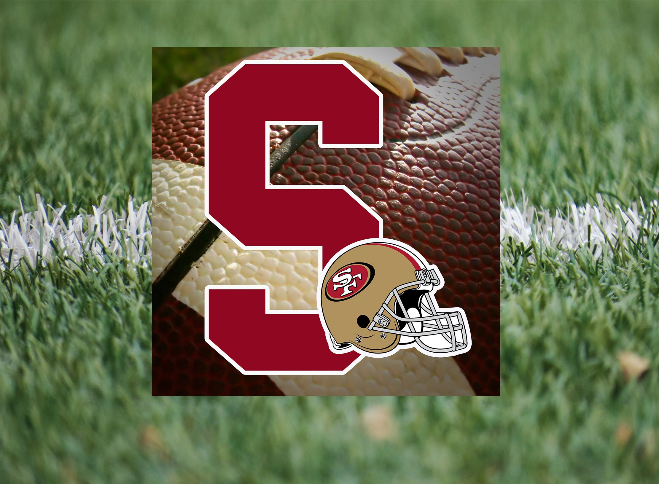 A Collection of San Francisco Teams San Francisco 49ers, San Francisco ...