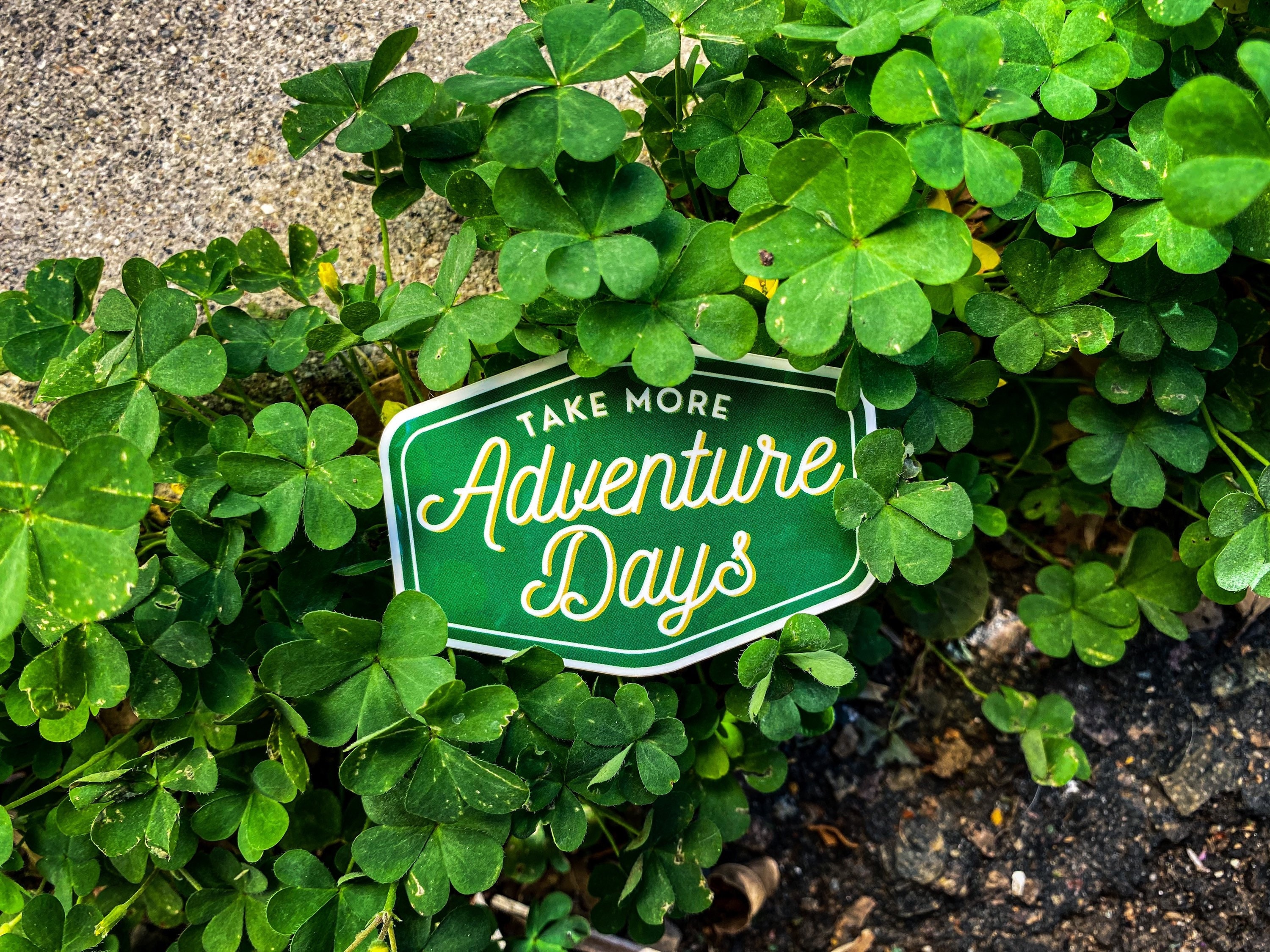 Park Ranger Green Logo Badge National Park Adventure Sticker Hiking ...