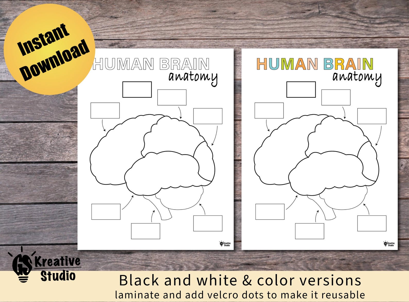 Brain Anatomy Printable Activity, Kids Science Puzzle, Brain Parts ...