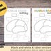 Brain Anatomy Printable Activity, Kids Science Puzzle, Brain Parts ...